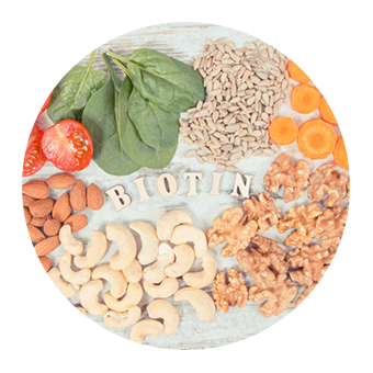 Dear Doggo | Daily Skin & Coat Chews for Dogs