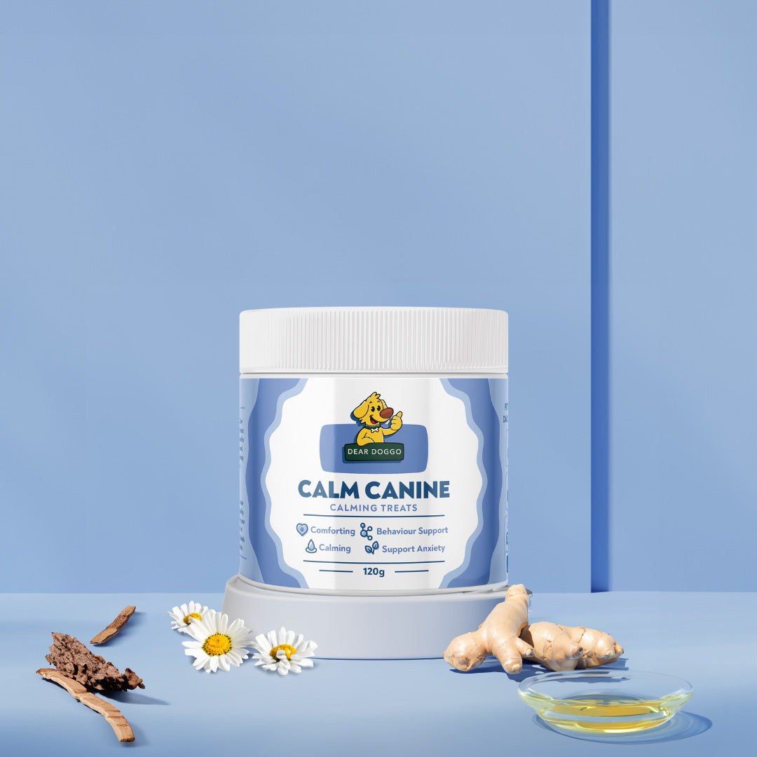 Dear Doggo | Daily Calming Chews for Dogs